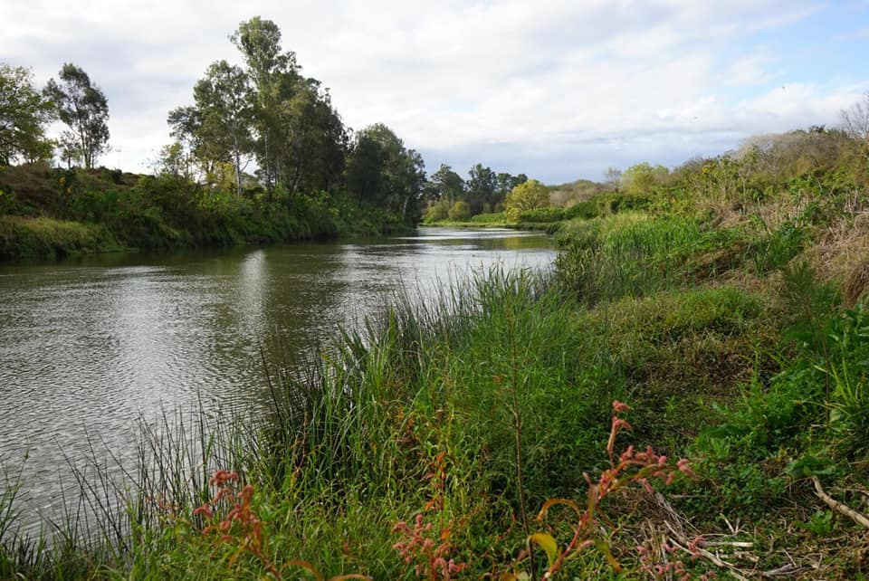 Barry Street Reserve - Bremer Catchment Association Inc